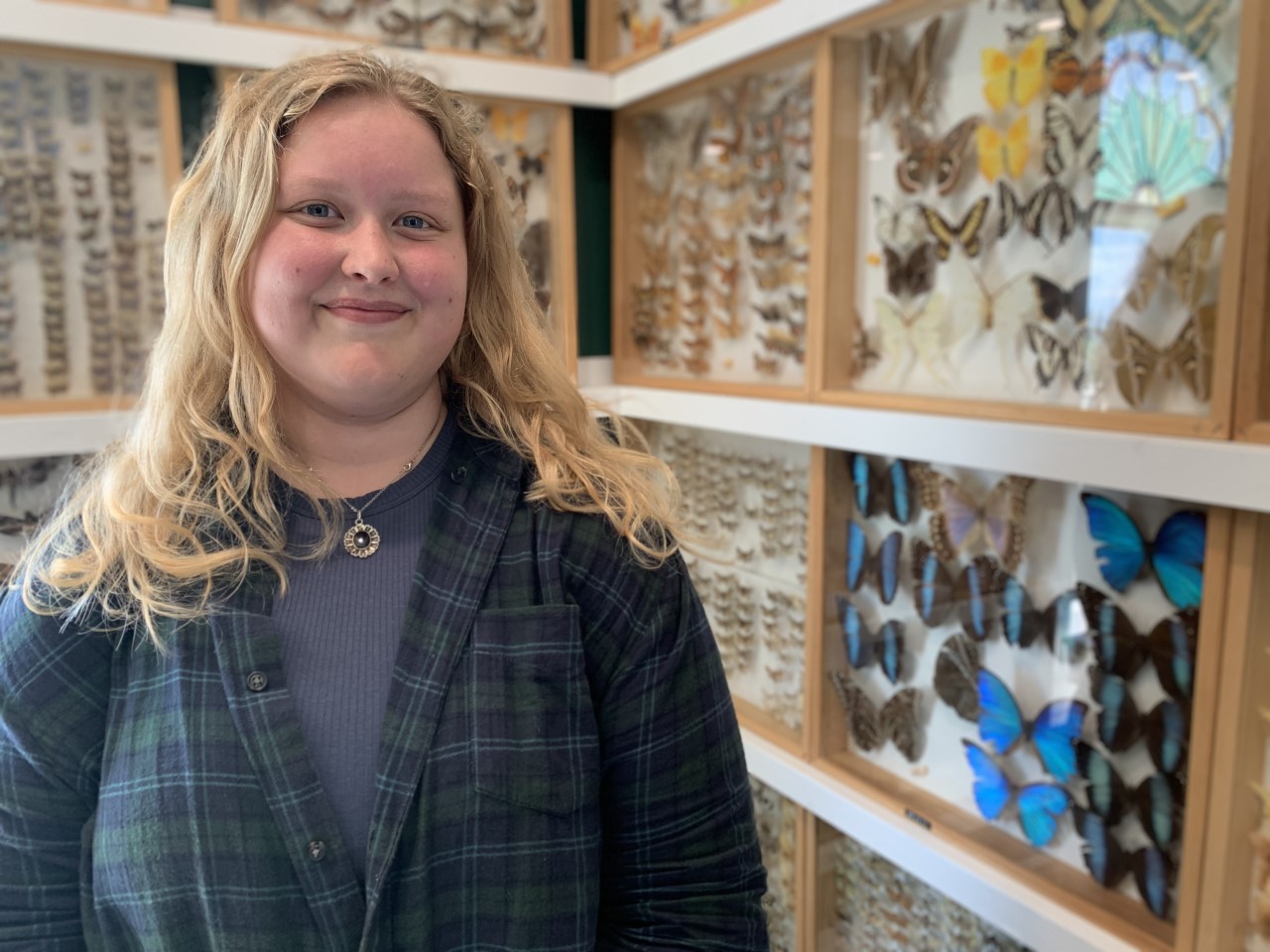 The butterfly room is still the favorite at the Hillcrest Museum ...