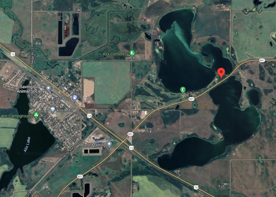 Blue-green algae warning issued for Haunted Lake near Alix ...