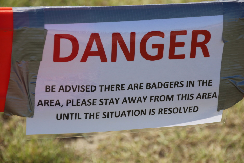 UPDATE: Part of Signal Hill Trail closed due to curious badger ...