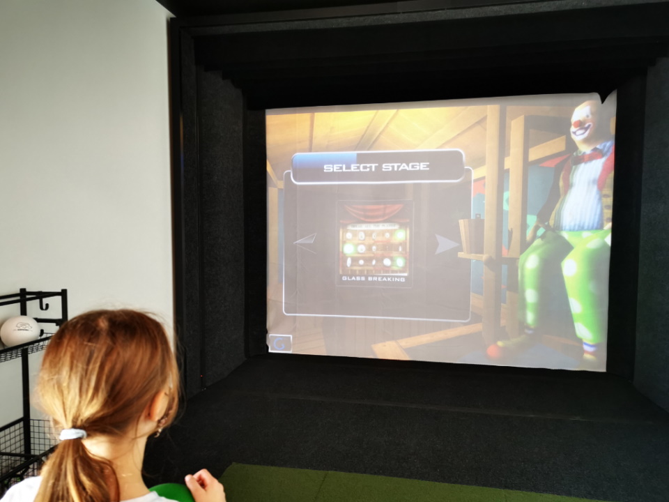 Simulators a great way to hone your skills, entertain summer guests ...