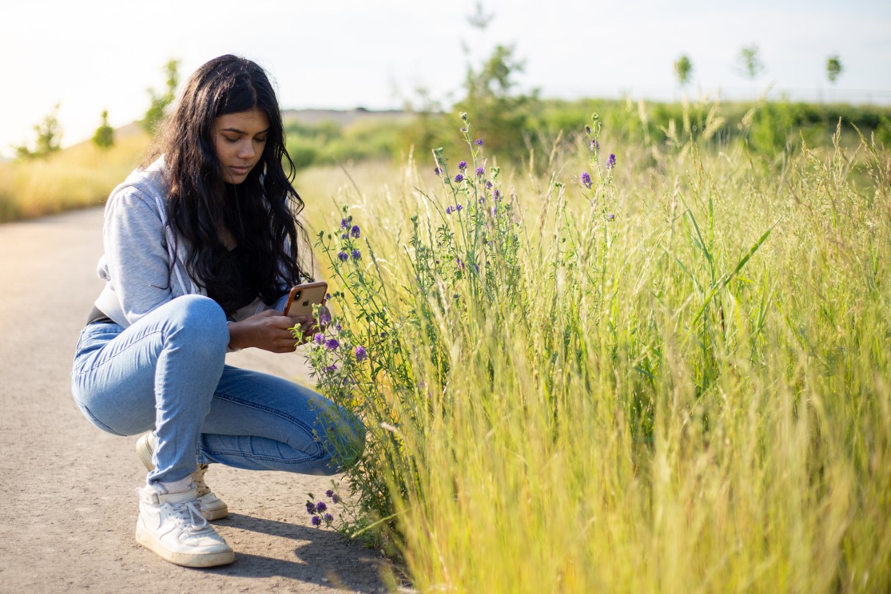 Become a biologist for a weekend with Big Backyard BioBlitz ...