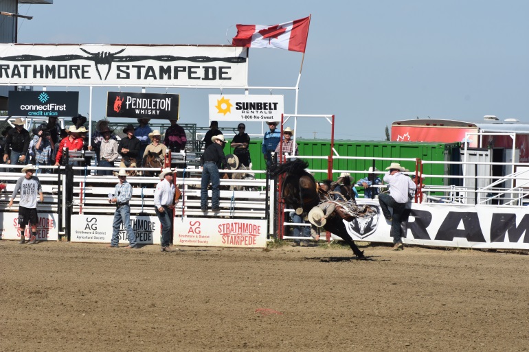 Strathmore Stampede was a big hit! - StrathmoreNow.com - Local news ...