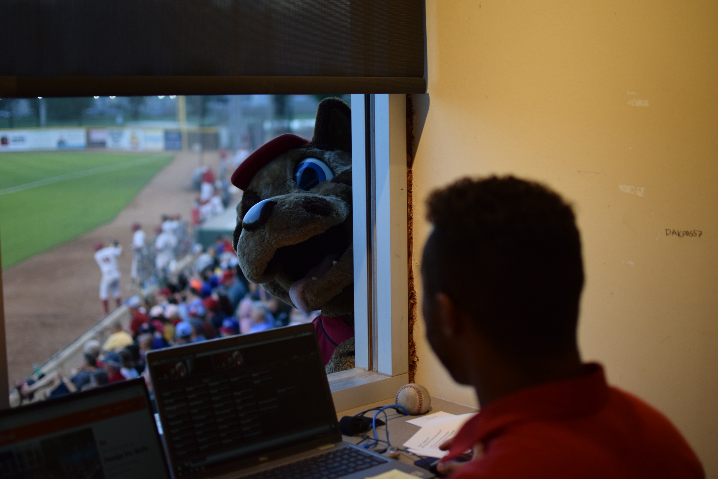 (Photo Story) Behind the scenes of an average Dawgs game ...