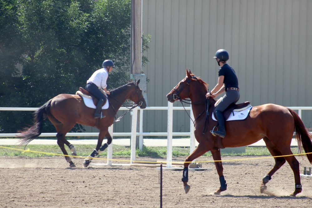 Exhibition Grounds hosting hunter/jumper horse show - DiscoverMooseJaw ...