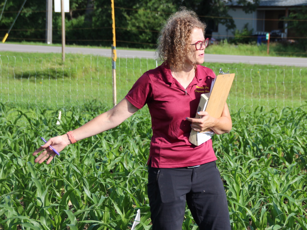 Provincial weed survey underway - PortageOnline.com - Local news ...
