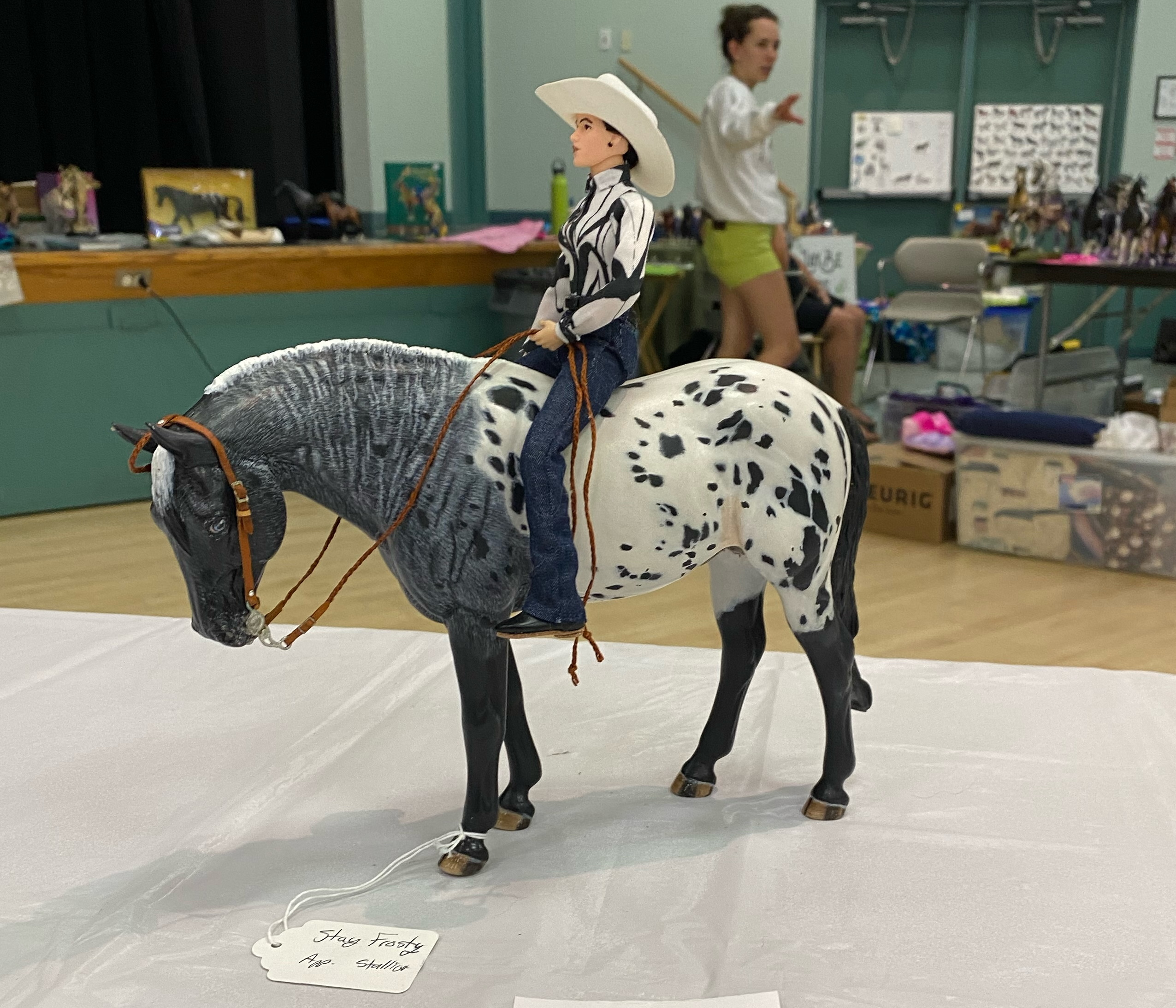 Local Collector Showcases Model Horses Across the Provinces ...