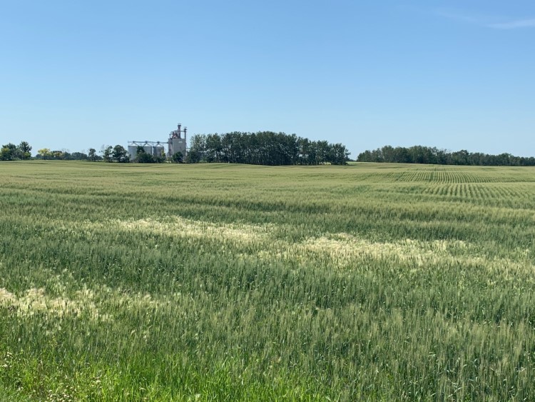 Seeding 90 per cent complete around West Central - WestCentralOnline ...