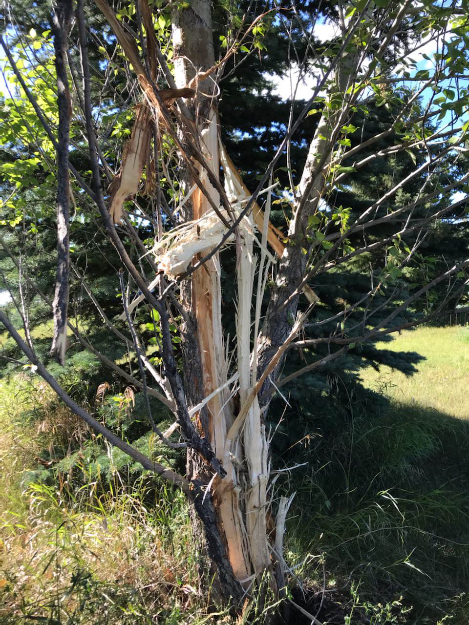 VIDEO: Lightning strike a little too close to home - OkotoksOnline.com ...