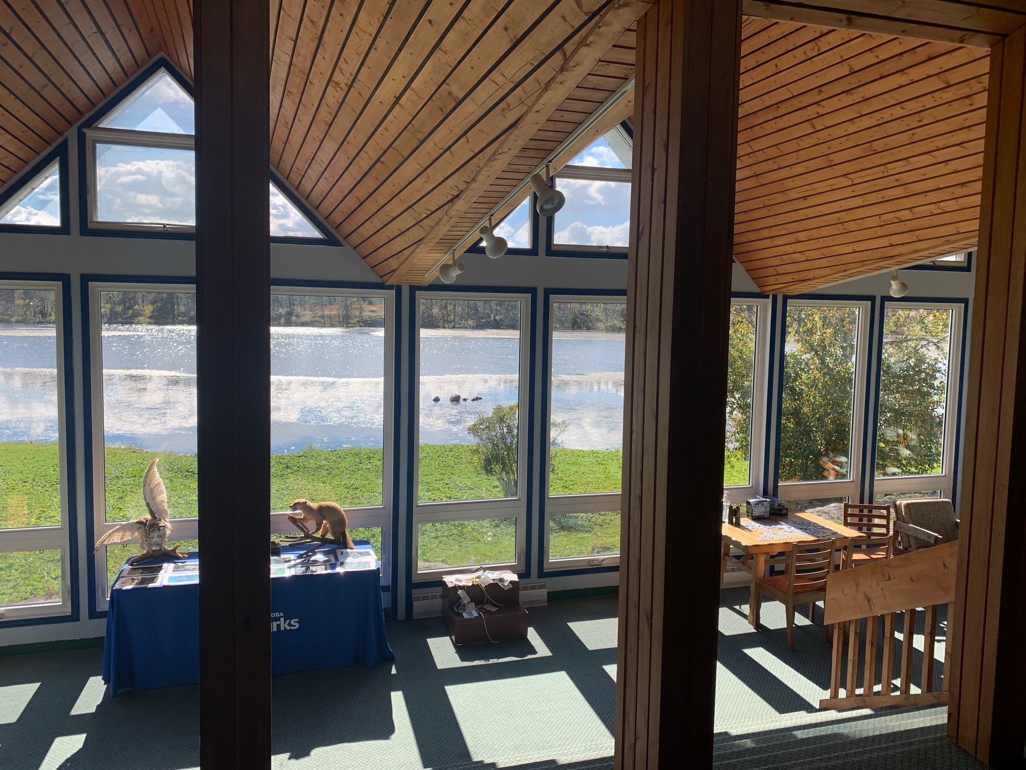 The Canada goose is the definition of a conservation success story ...