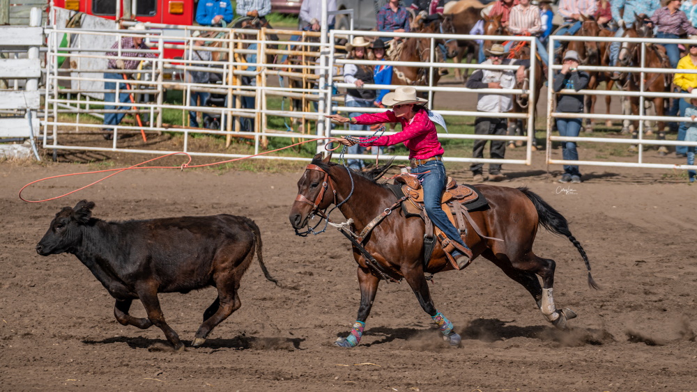 Heartland Rodeo thrilled with 25th Anniversary milestone ...