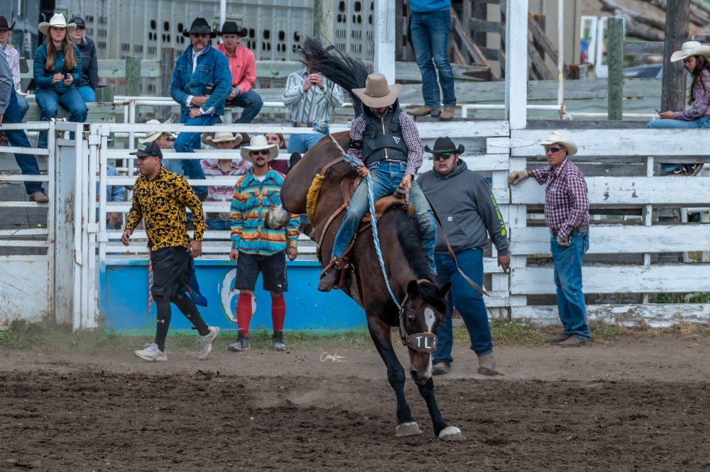 Heartland Rodeo thrilled with 25th Anniversary milestone ...