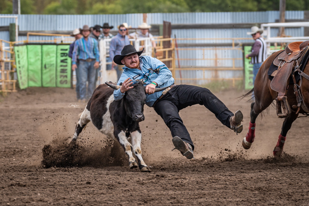 Heartland Rodeo thrilled with 25th Anniversary milestone ...