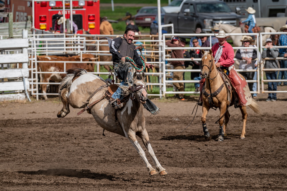 Heartland Rodeo thrilled with 25th Anniversary milestone ...