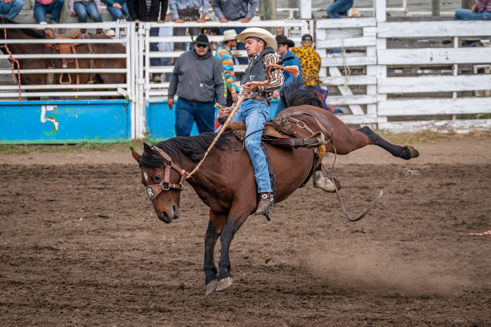 Heartland Rodeo thrilled with 25th Anniversary milestone ...