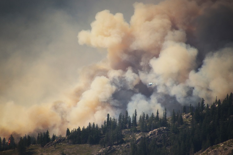 Jasper area wildfire spreads to over 6000 Hectares ...