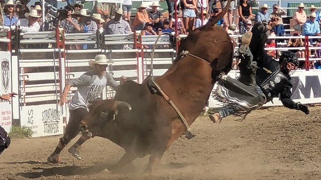 Strathmore events weekend guide - September 16th to 18th ...