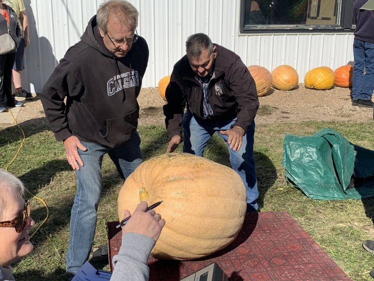 Pilger Pumpkin Fest is a harvest happening - DiscoverHumboldt.com ...