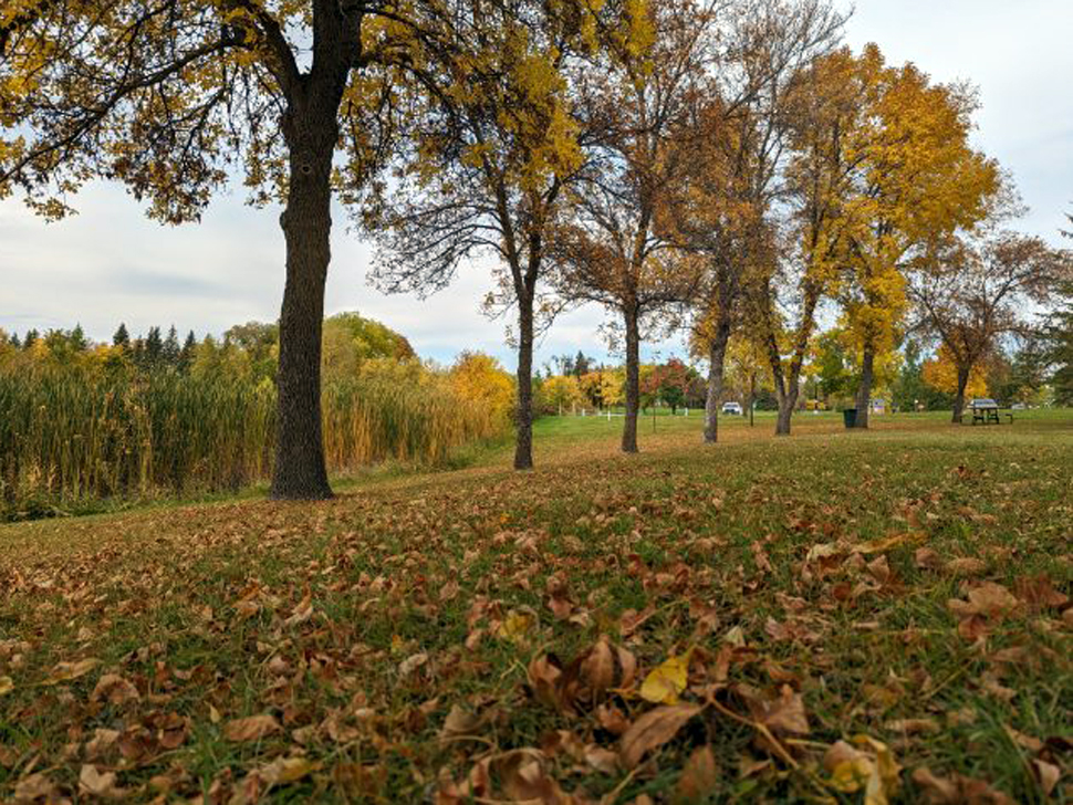 Fall in southeastern Manitoba in photos - SteinbachOnline.com - Local ...