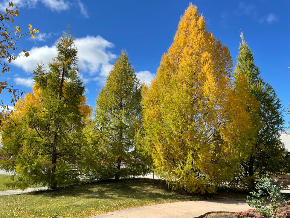Fall in southeastern Manitoba in photos - SteinbachOnline.com - Local ...