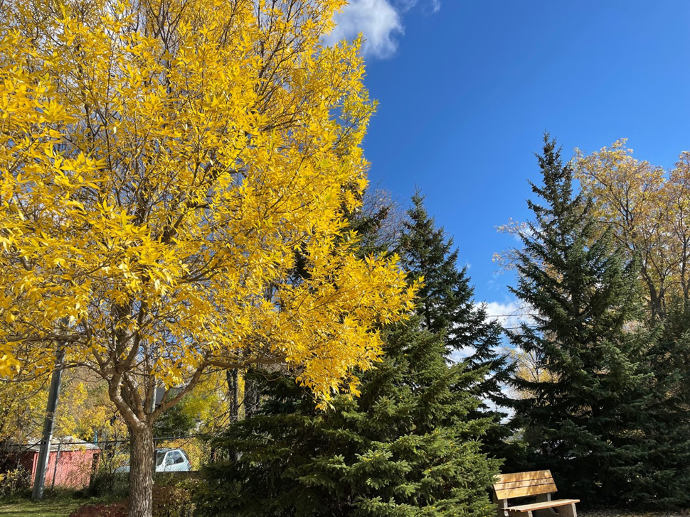 Fall in southeastern Manitoba in photos - SteinbachOnline.com - Local ...