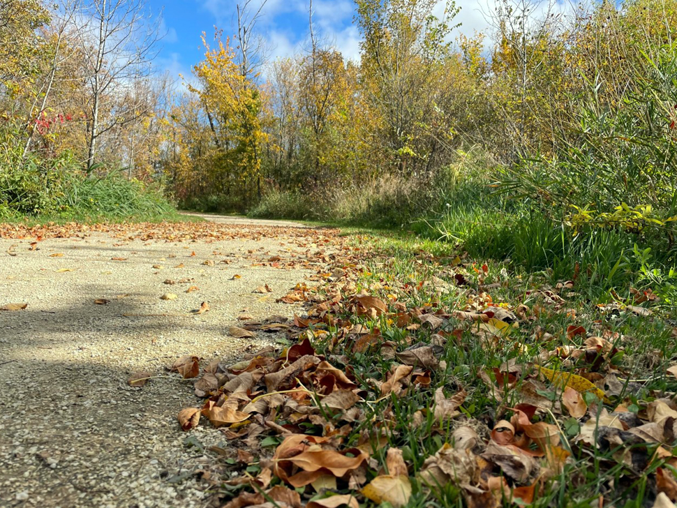 Fall in southeastern Manitoba in photos - SteinbachOnline.com - Local ...