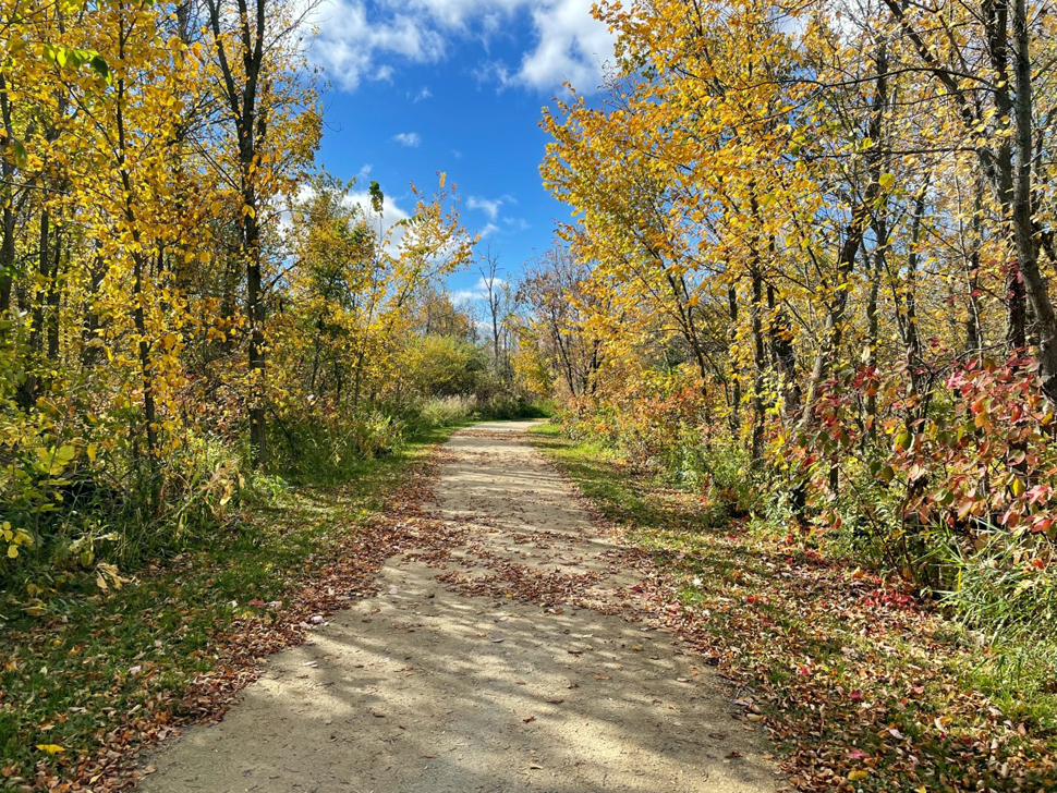 Fall in southeastern Manitoba in photos - SteinbachOnline.com - Local ...