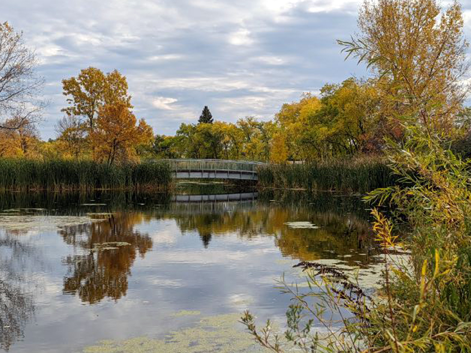 Fall in southeastern Manitoba in photos - SteinbachOnline.com - Local ...