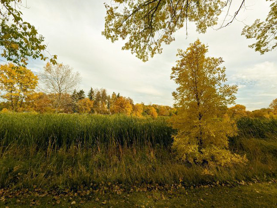 Fall in southeastern Manitoba in photos - SteinbachOnline.com - Local ...