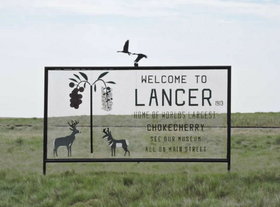 Lancer's 50th Chokecherry Festival being held this weekend ...