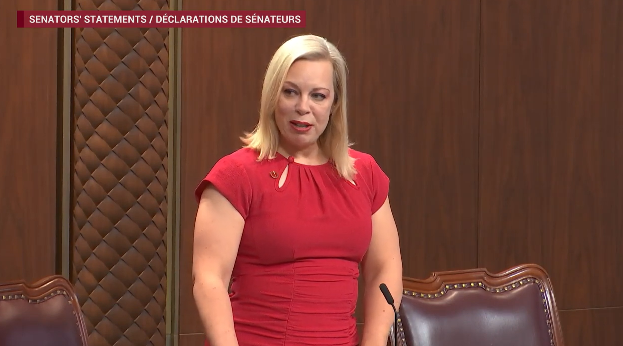 Senator honours Snowbirds’ milestone, calls on government to replace ...