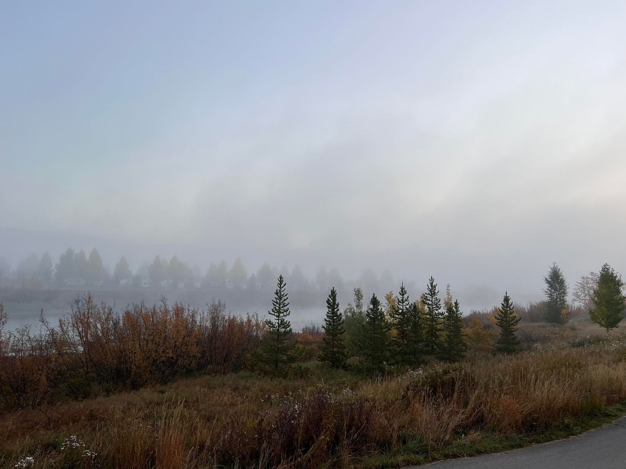 Foggy start to Saturday morning - CochraneNow: Cochrane, Alberta's ...