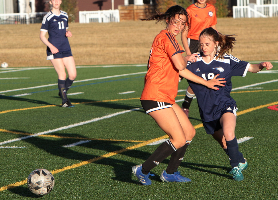 GALLERY: Bow Valley Bobcats advance to semifinals - CochraneNow ...