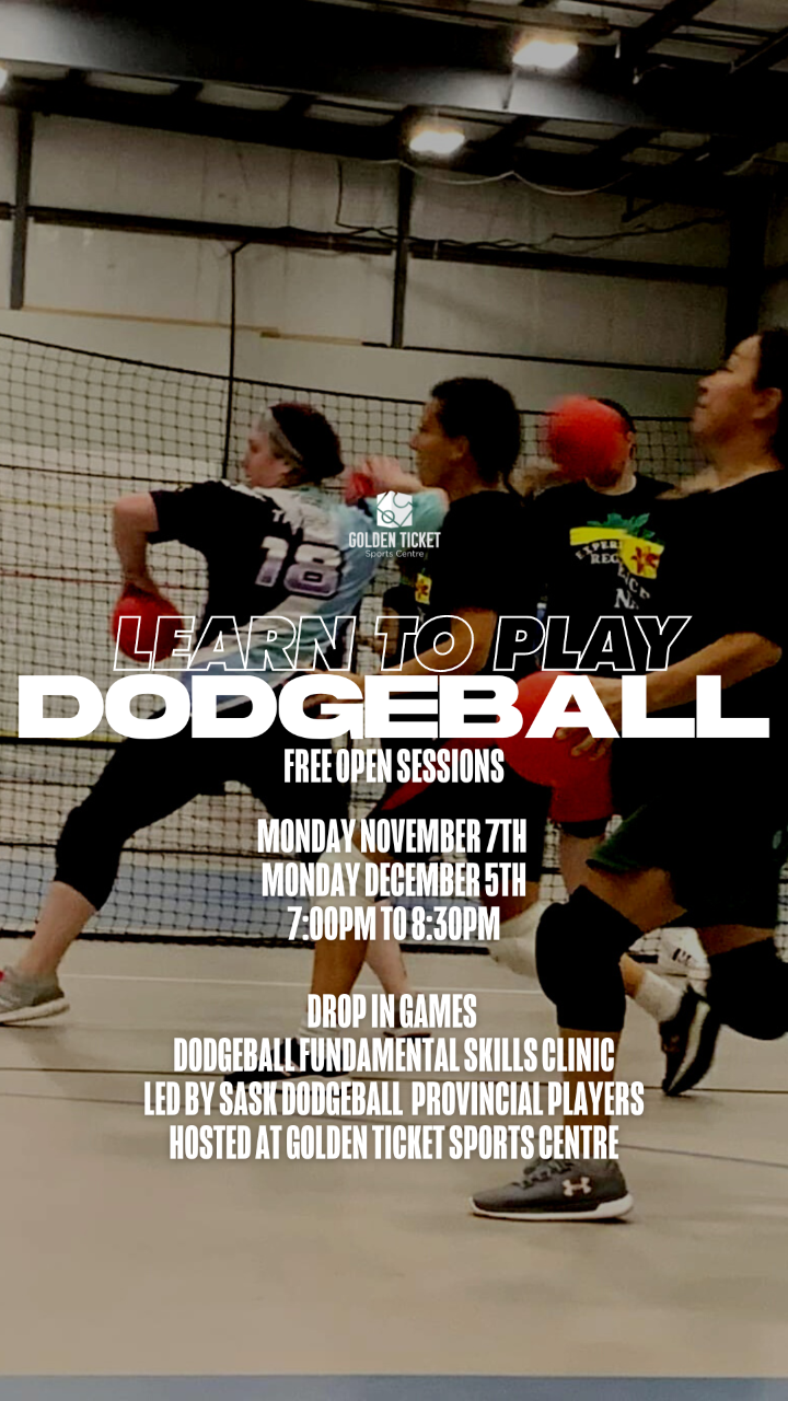 Adult Dodgeball is coming to Moose Jaw - DiscoverMooseJaw.com - Local ...