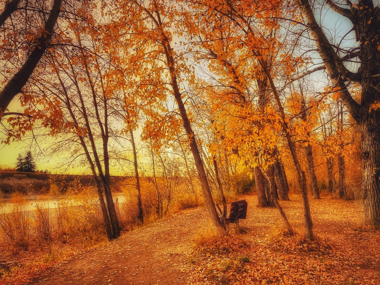 October's warm days are coming to an end - DiscoverAirdrie.com - Local ...