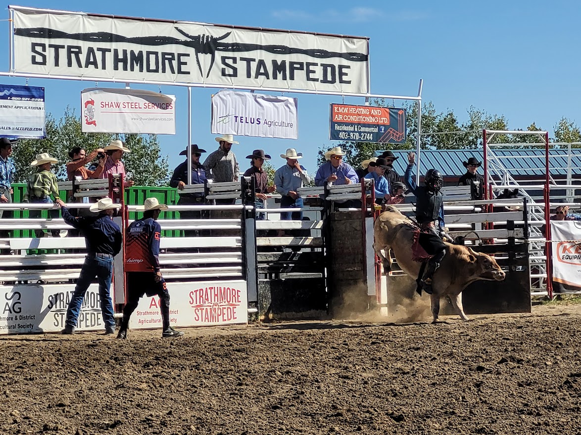 Langdon's Lazy P Rodeo receives national award - StrathmoreNow.com ...