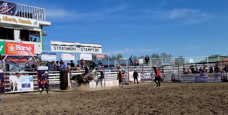Langdon's Lazy P Rodeo receives national award - StrathmoreNow.com ...