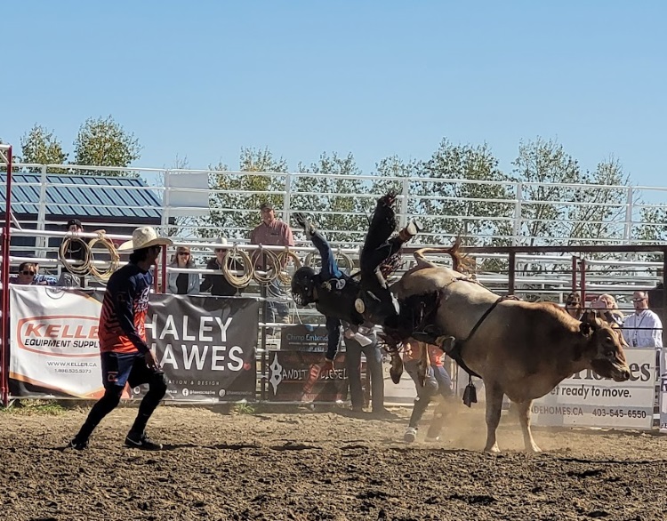 Langdon's Lazy P Rodeo receives national award - StrathmoreNow.com ...