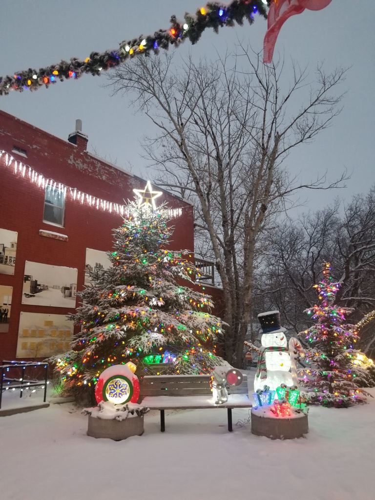 Weekend Update: Get set to flip the switch in Bruno - DiscoverHumboldt ...