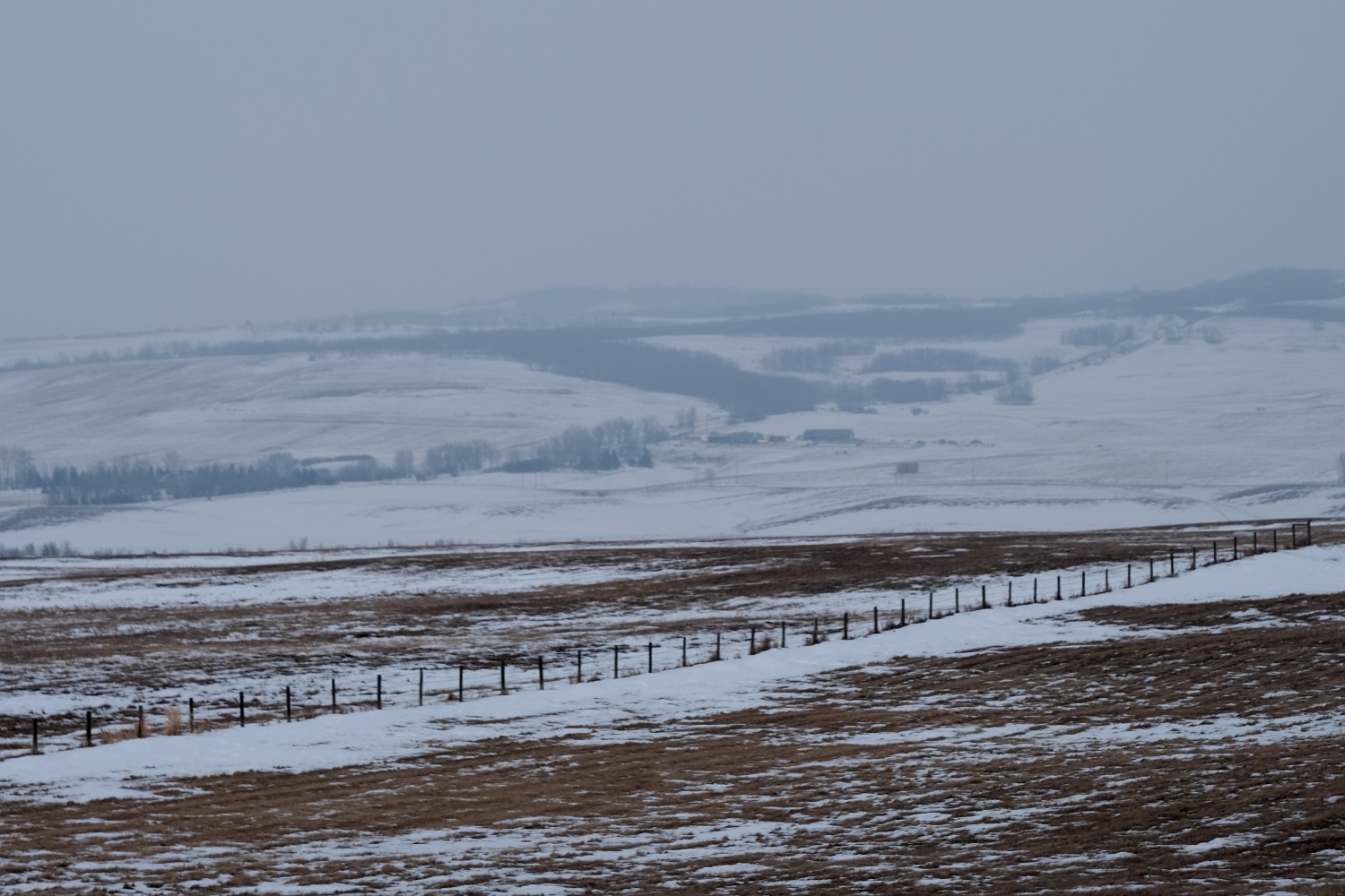 Environment Canada warns of "near-zero visibility" fog ...