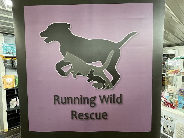 Year In Review: Running Wild - DiscoverMooseJaw.com - Local news ...