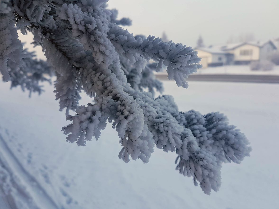 Alberta Clipper expected to hit Saskatchewan; Special weather statement ...