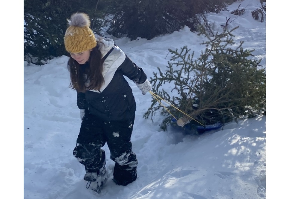 Holiday season arrives in Cypress Hills - WestCentralOnline: West ...