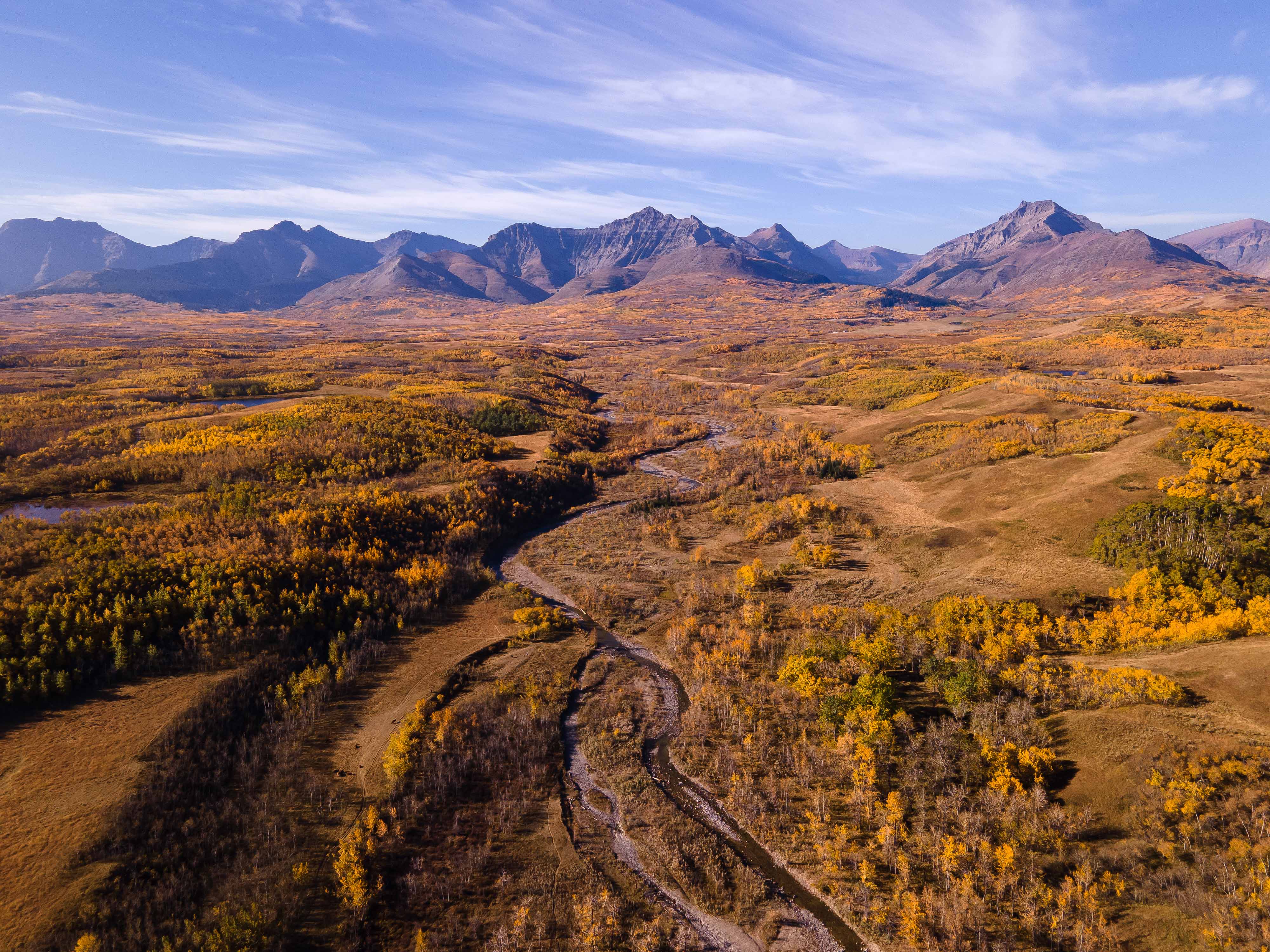 Rancher and conservationist says conserving Alberta's grassland ...