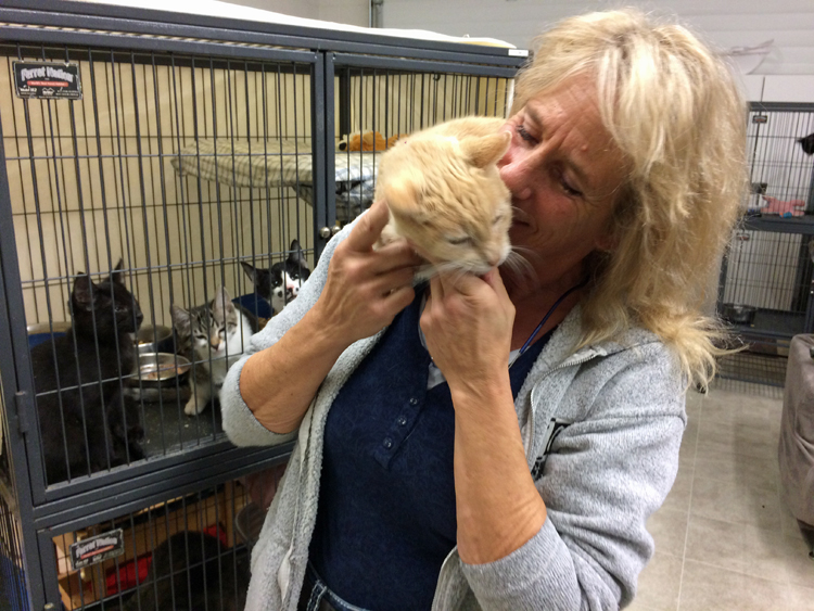 Animal shelters among the local organizations in need this Christmas ...