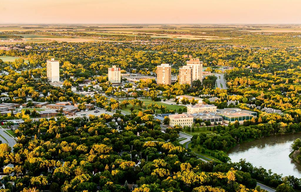 Resurrecting Winnipeg's urban forest with new program - CHVNRadio ...