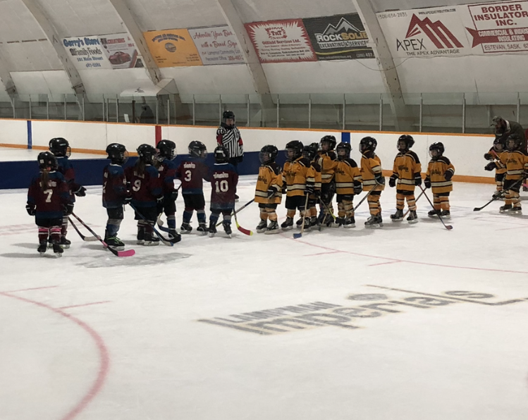 Lampman gets new ice plant for hockey, curling rinks - DiscoverEstevan ...