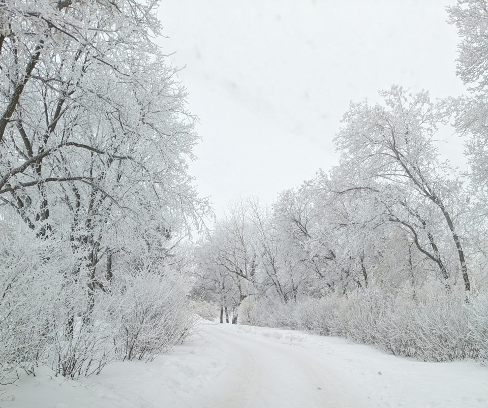 Snowfall coming down this week as cold weather creeps towards southeast ...