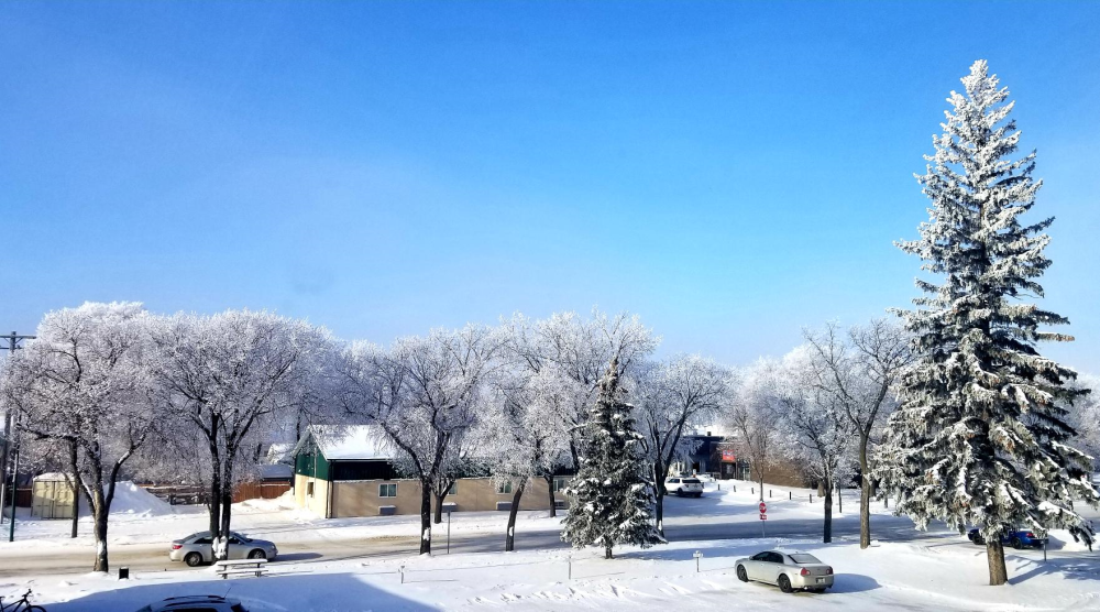 The beauty of winter on full display - PembinaValleyOnline.com - Local ...