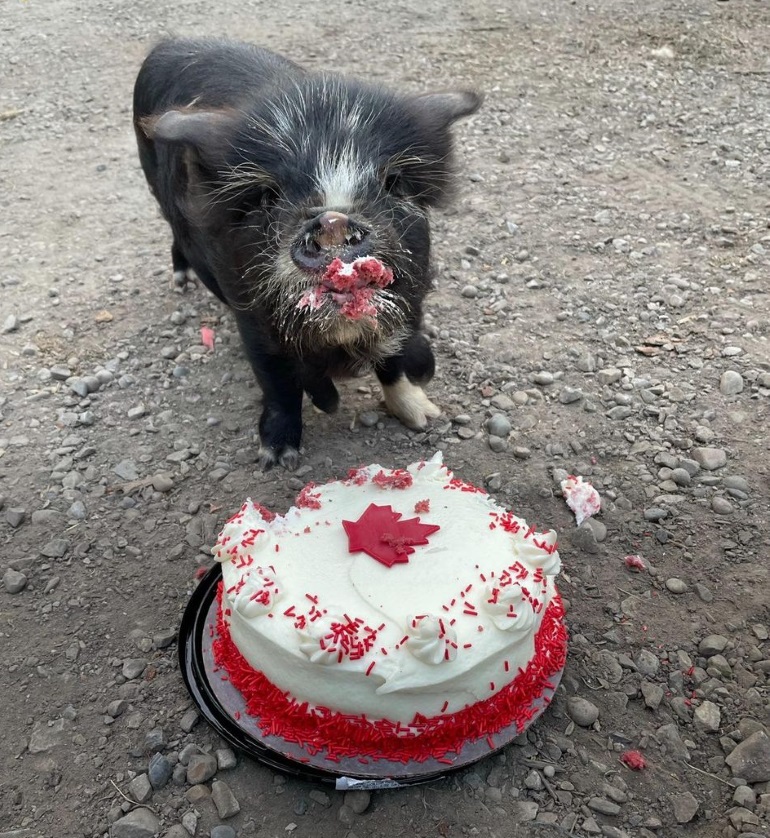 The Loop Resource program: a win for the environment, farmers, and ...