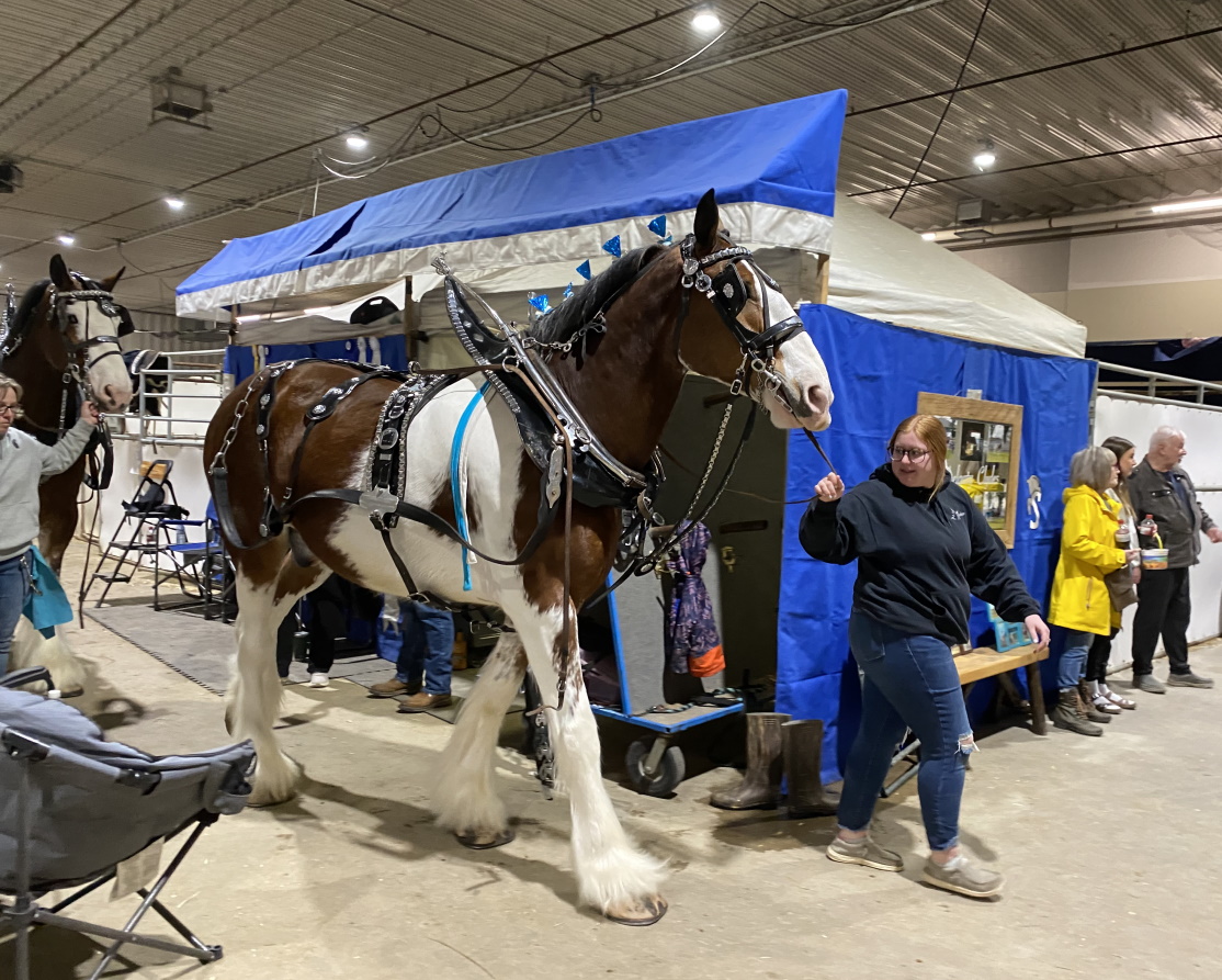 Celebrating everything AGRICULTURE at the Royal MB Winter Fair ...